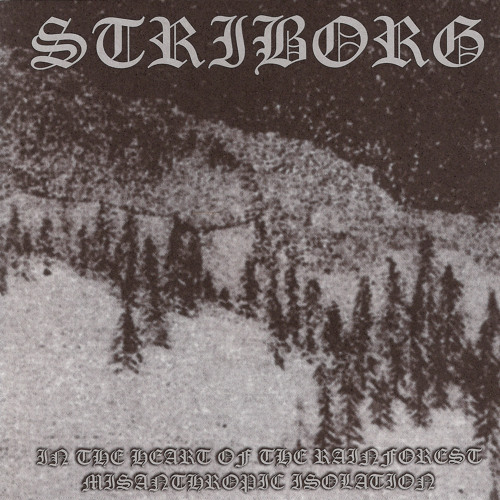 Stream The Long Dark Path by Striborg | Listen online for free on ...