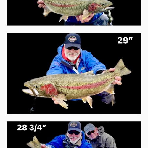 Stream Wayne McGee- Big Fish Story 1 by Save Bristol Bay | Listen ...