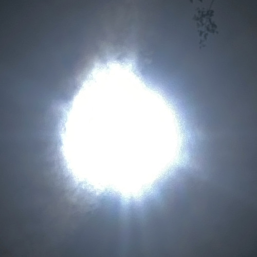 Stream new growth by SVRITE | Listen online for free on SoundCloud