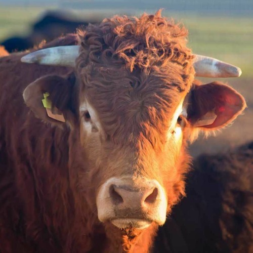 Stream God THE FATHER In Typology, Symbols And Metaphors by Righteous ...