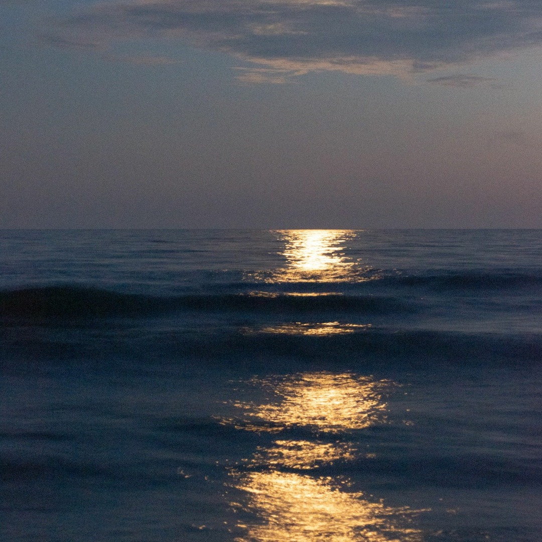 Stream ♡ ‧ 🌧️˚⊹ not allowed ᨳ instrumental ver 🌅 ⋆ ˚｡ hexd + slowed ...