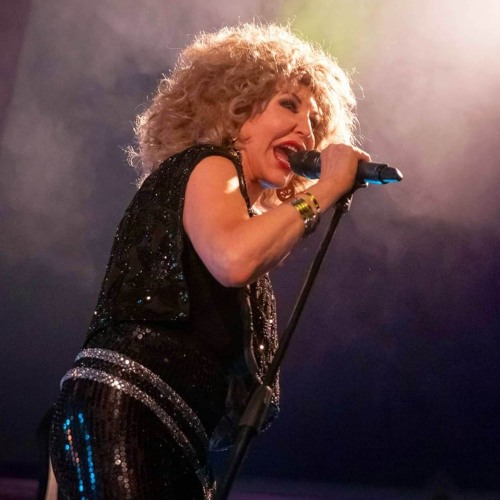 Stream TINA TURNER Tribute STEAMY WINDOWS Live Concert Version by Paula ...