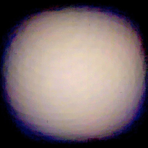 Stream Unresolved Stasis by chicago_word_brigade | Listen online for ...