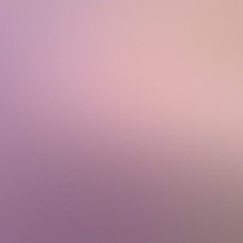 Stream Nightcore Insanity By Rosebuds Listen Online For Free On