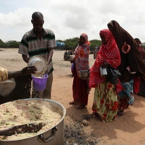 Stream Afrique de l'Ouest Et Centre : Le PAM, l'Unicef Et La Fao Alertent Sur L'insécurité ...