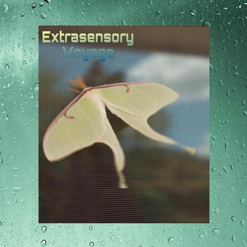 Stream Earth Cat Zero by Gianfiore | Listen online for free on SoundCloud