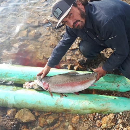 Stream Under Investigation: Lois Lake Fish Farm by Cortes Currents ...