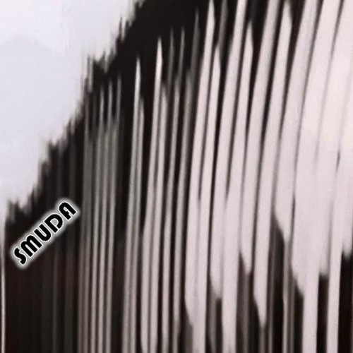 Stream SMUDA @Cohesion Festival by Smuda | Listen online for free on ...