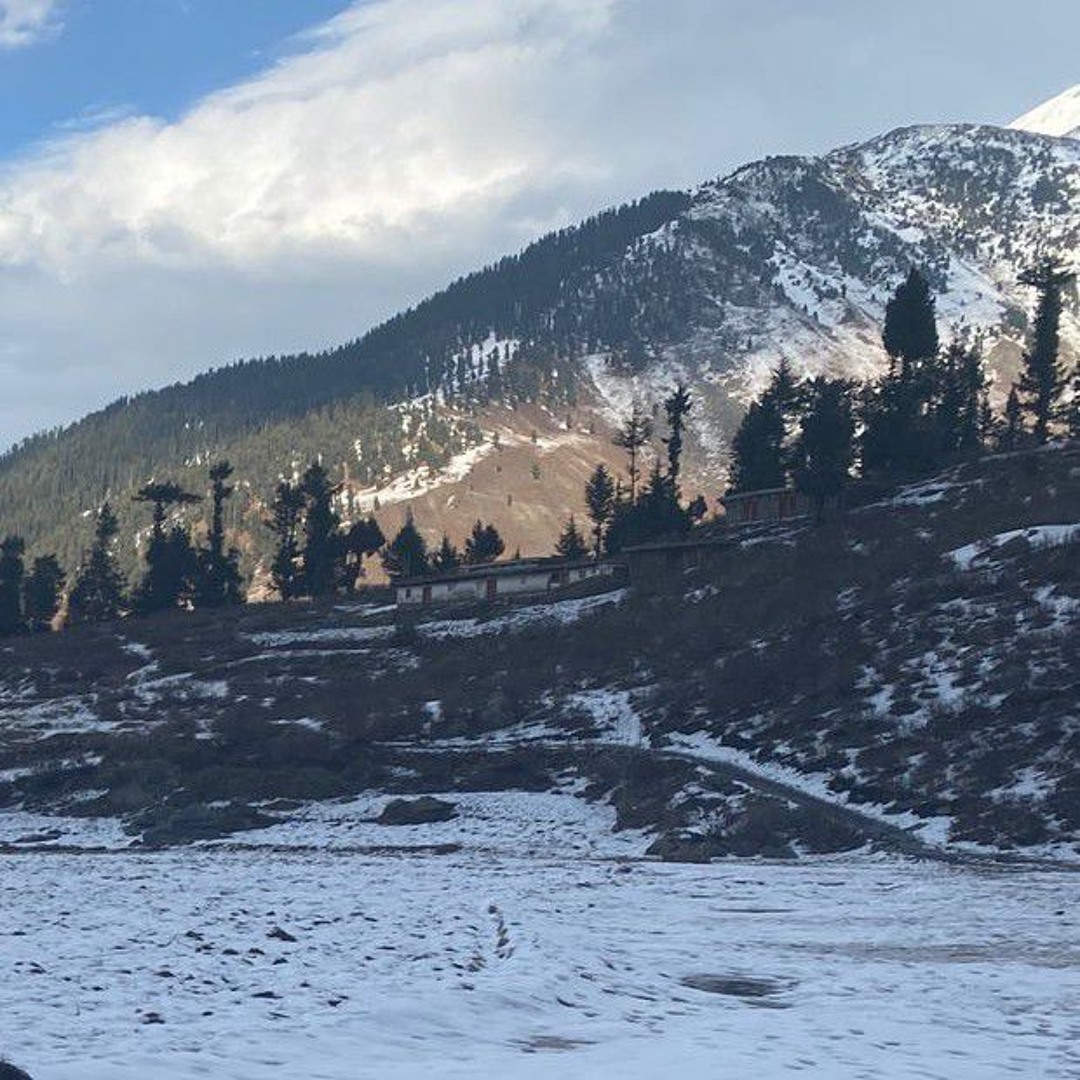 Stream Dhundla talwinder verse looped by Khuzaima | Listen online for ...