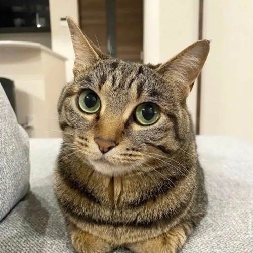 Stream ex fan (Lucki - Randomly remix) by ARK OFFICIAL | Listen online ...