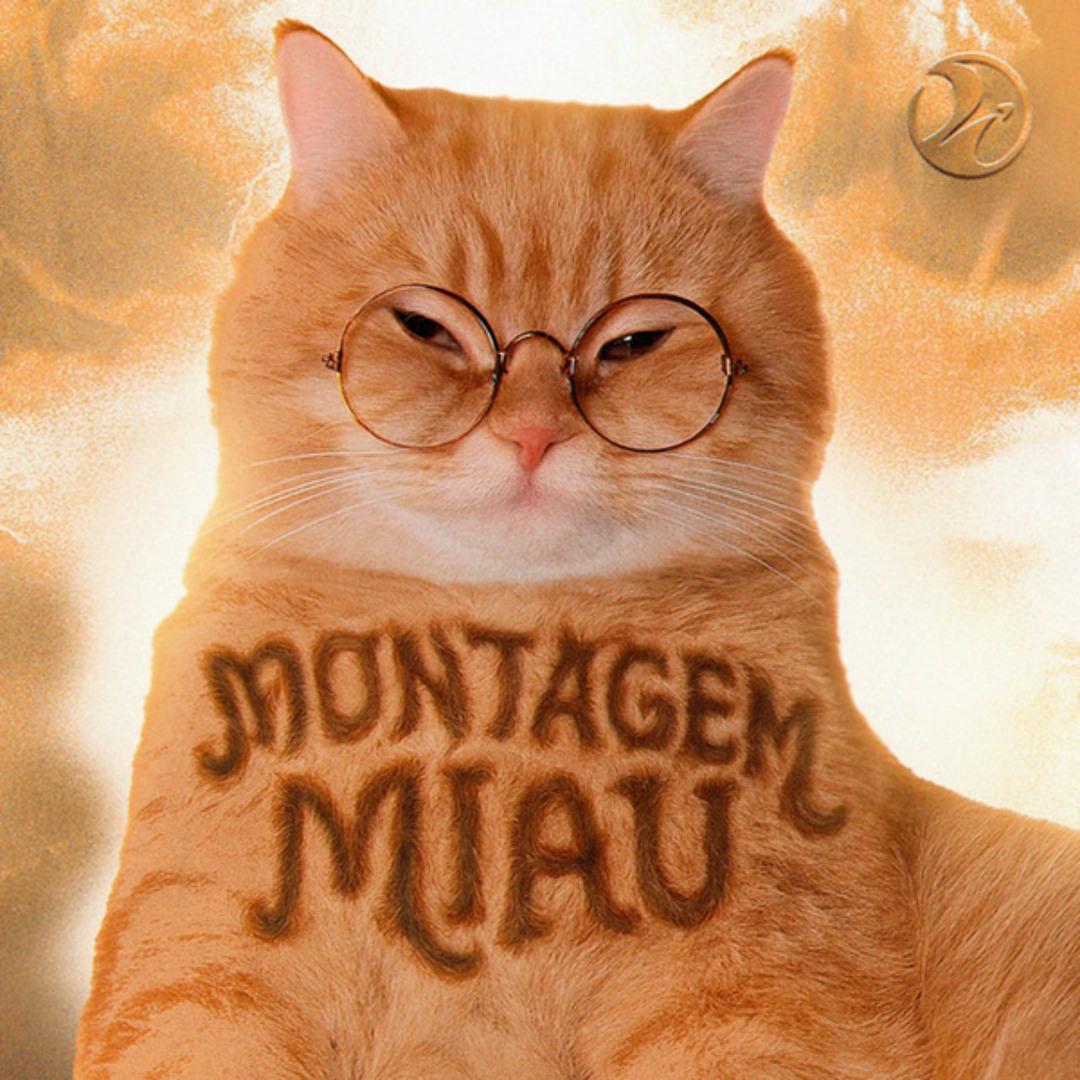 Stream Montagem Miau by Lenar | Listen online for free on SoundCloud