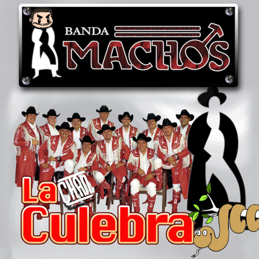 Stream Banda Machos - La Culebra (Chan Flip) by Chan | Listen online ...