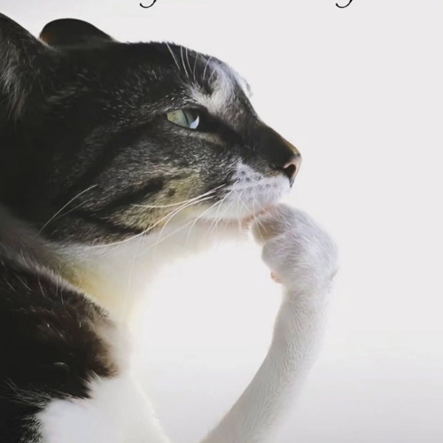 Stream jaydes/nunya - twig (extended) by Yellow | Listen online for ...