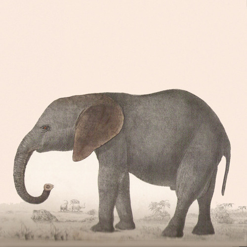 Stream Way To Go Boy by Tap Tap | Listen online for free on SoundCloud