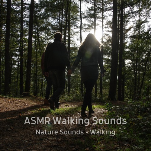 Stream The Calm Walk by ASMR Walking Sounds | Listen online for free on ...
