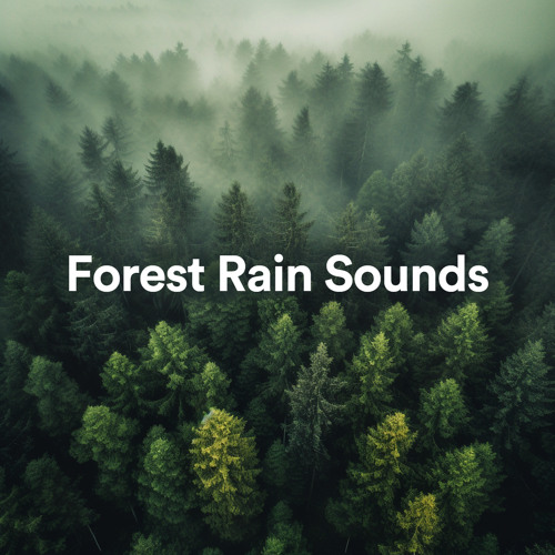 Stream Tropical Rainforest Sounds By Nature Sounds Listen Online For