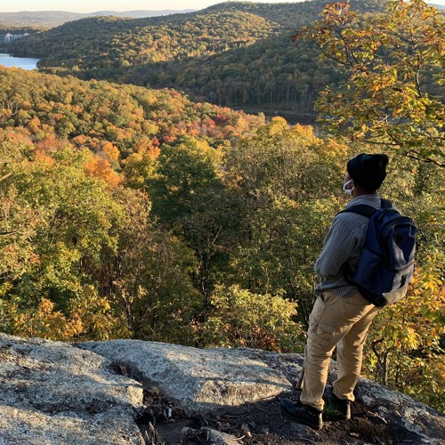 Stream Thought Process (Single) by Julian Willis | Listen online for ...