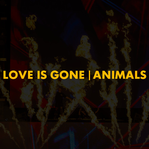 SLANDER & Dylan Matthew vs. Vastive Tracks / Remixes Overview