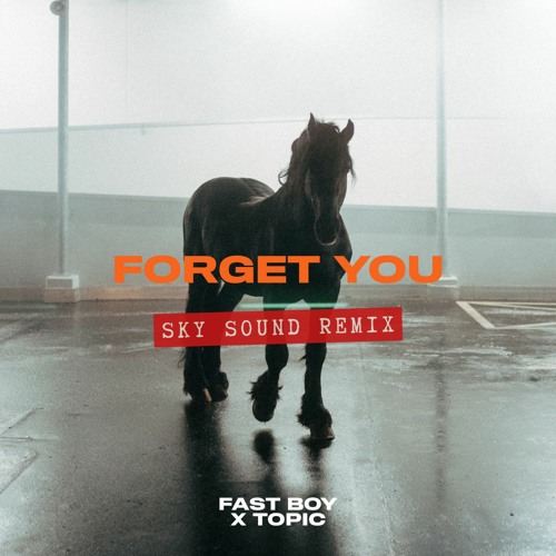 Stream FAST BOY x Topic - Forget You (Sky Sound Extended Remix) by Sky ...