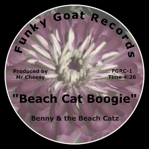 Stream Beach Cat Boogie by Funky Goat Records | Listen online for free ...