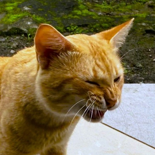 Stream ravyn lenae ft steve lacy - skin tight (cover) by aisha rpb ...