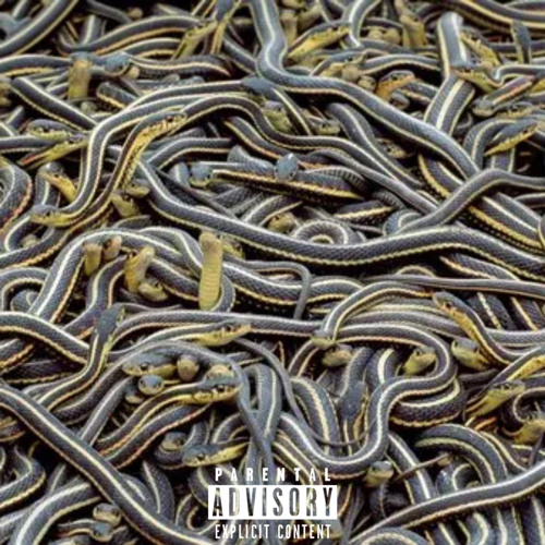 Stream Snakes In The Snake Grass[feat.Ifesomean] (prod.Lil Fari) by ...