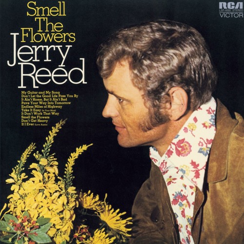 Stream Don't Let The Good Life Pass You By by Jerry Reed | Listen ...