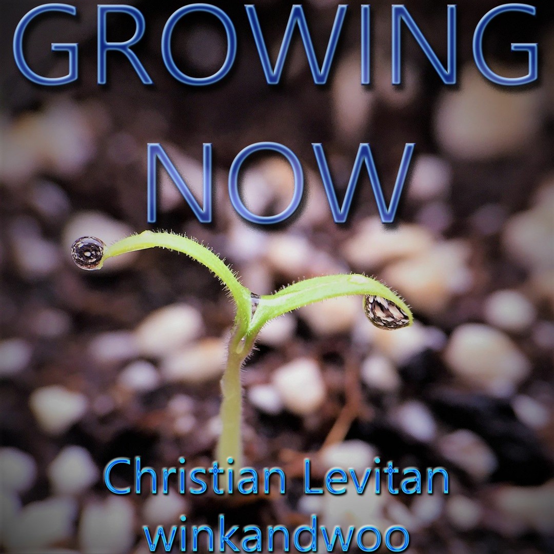 Stream Growing Now - Christian Levitan Ft. winkandwoo by winkandwoo ...