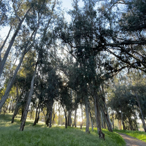 Stream boom prod rqsy by rqsy (@rszc) | Listen online for free on ...