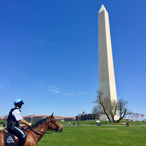 Stream DRUNK & DISORDERLY by George Paterno - Songwriter | Listen ...