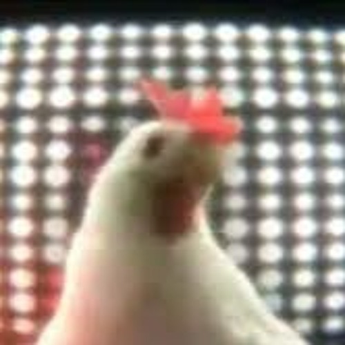 Stream J.Geco - Chicken Song (DnB Remix) by kyroshie_extra | Listen ...