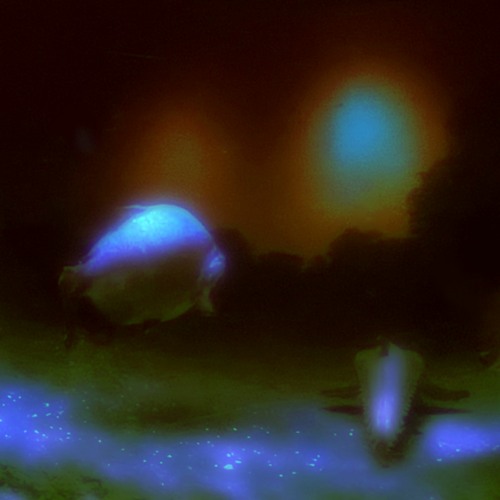 Stream Primordial Pools by GUTPRAYER | Listen online for free on SoundCloud