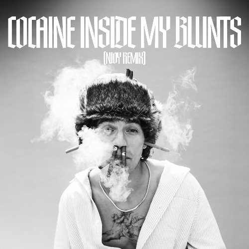Stream Disco Lines - Cocaine Inside My Blunts (NJOY Flip) by NJOY ...