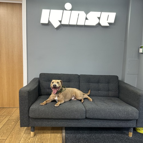 Stream Eich - 28 October 2024 by Rinse FM | Listen online for free on ...