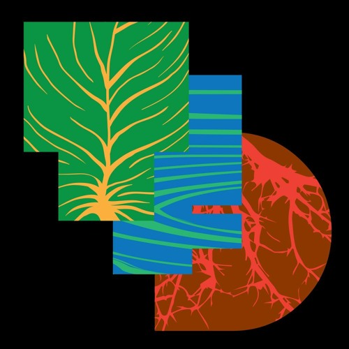 Stream Linda and Bikila - How has Ethiopian tree planting impacted ...