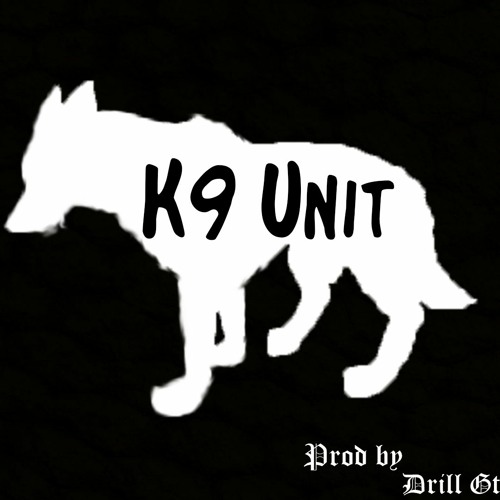 K 9 Rapper