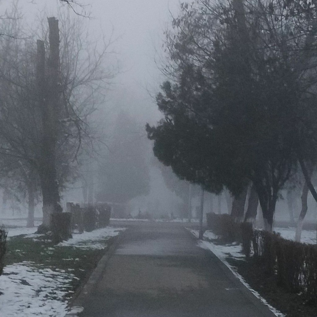 Stream C418 — Key (Minecraft OST) (slowed) by dan1lers | Listen online ...