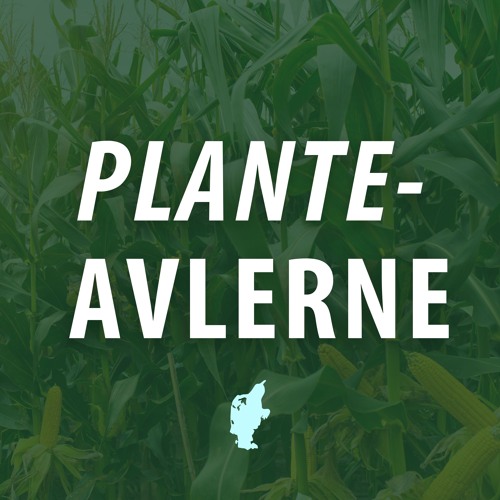 Stream episode Planteavlerne 2025 - E2: Fremtidsperspektiv og ...
