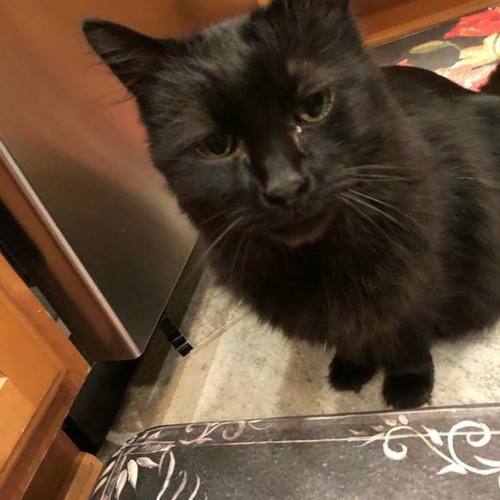 Stream Hehehehe by slash jay | Listen online for free on SoundCloud