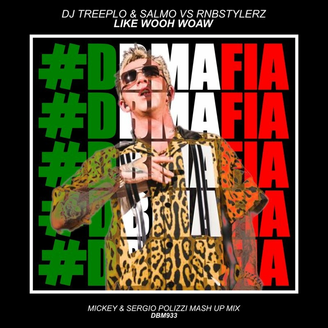 Stream Dj Treeplo & Salmo Vs Rnbstylerz - Like Wooh Woaw (Mickey ...