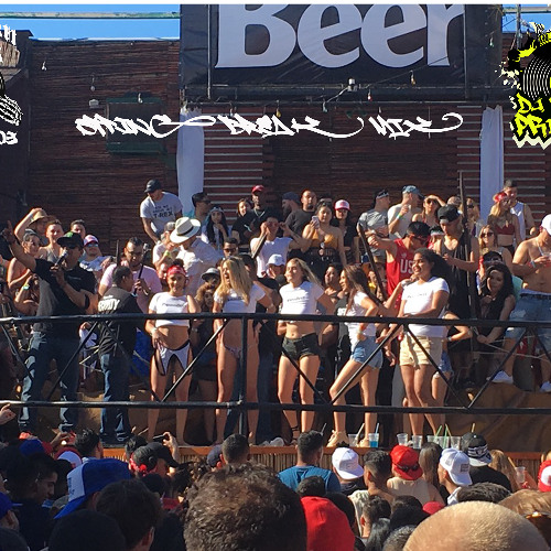 Stream SPRING BREAK MIX 2025 by DjFreshPrince | Listen online for free ...