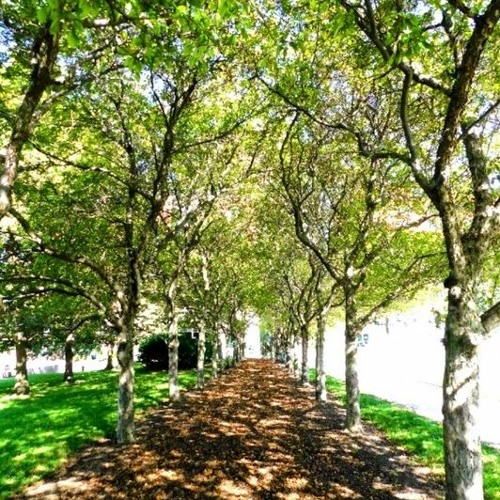 Stream "Vagabondage", par Chartrand Saint-Louis; Mixage, révision et ...