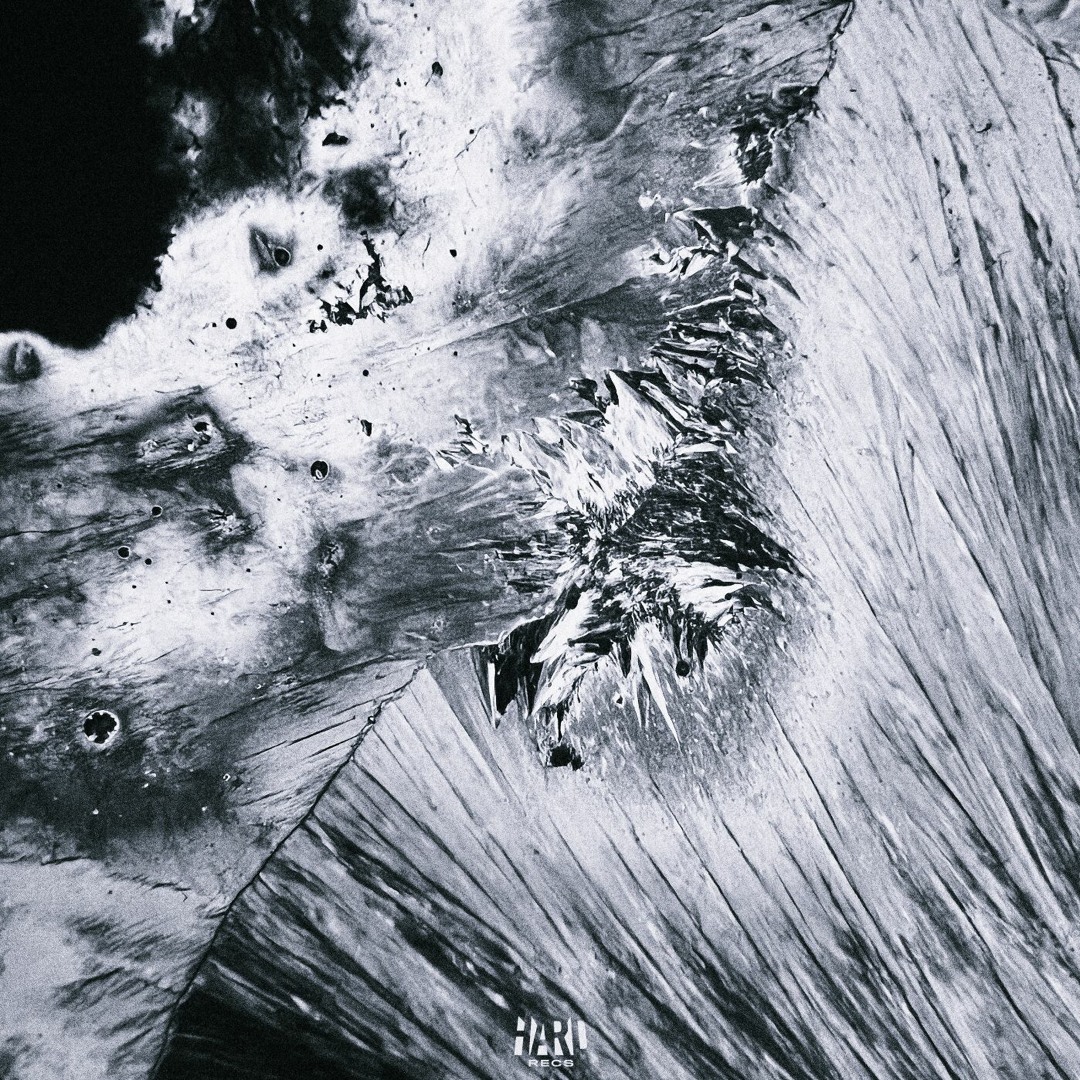 Stream Nitepunk - Black And Colors (2Spade Flip) by 2Spade | Listen ...