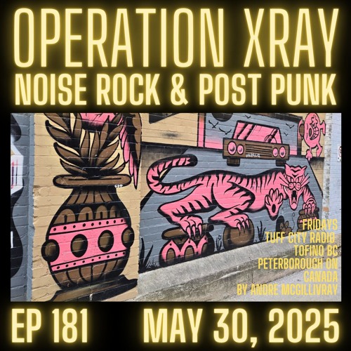 Stream Operation XRAY EP 181 - May 30 2025 by Tuff City Radio | Listen ...