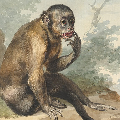 Stream The Monkey (Smoking Trout's HOLY DUMPLING #10) w/ Stonerjazz ...
