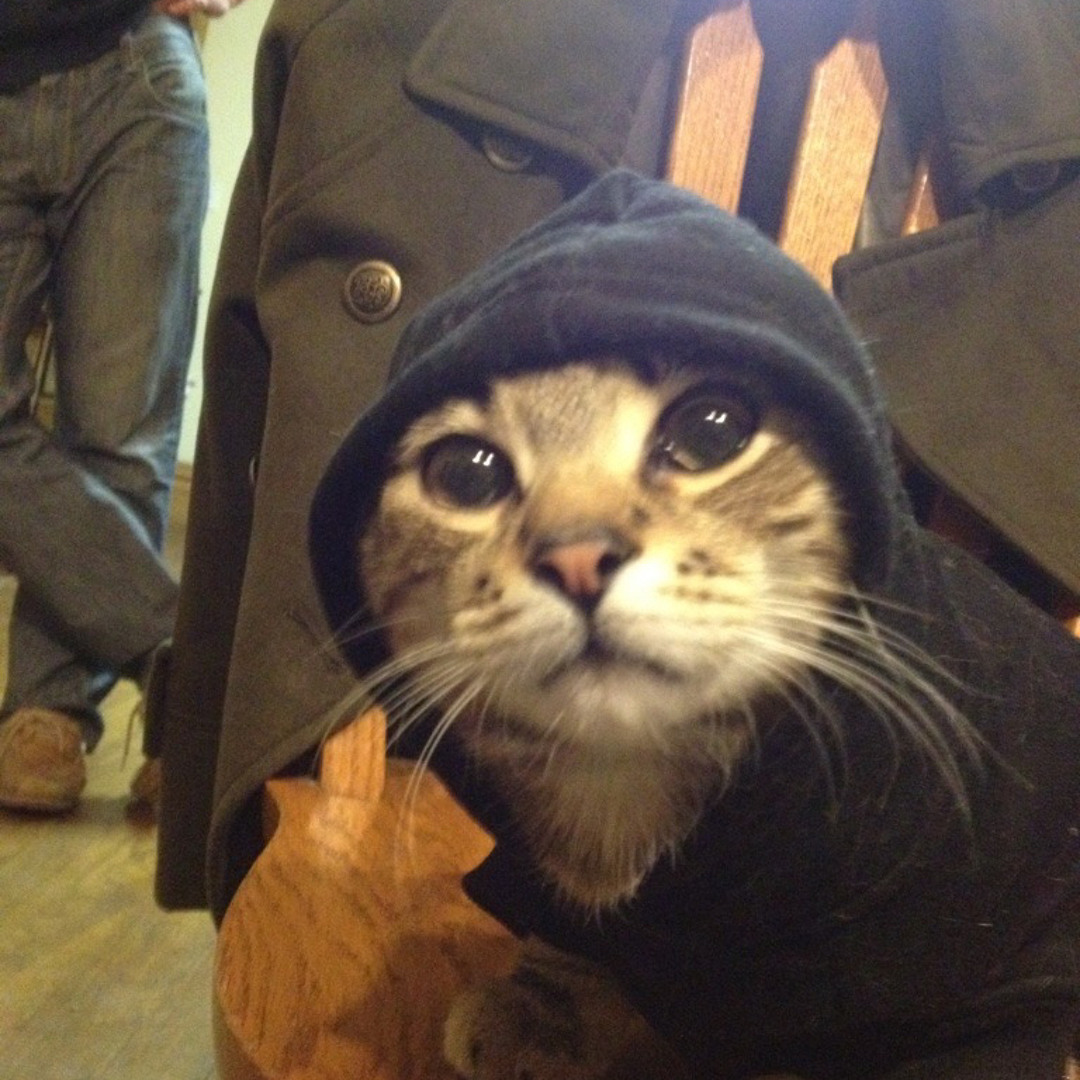 Stream ron artest - flo millie remix [Slowed to perfection] by cashvr ...