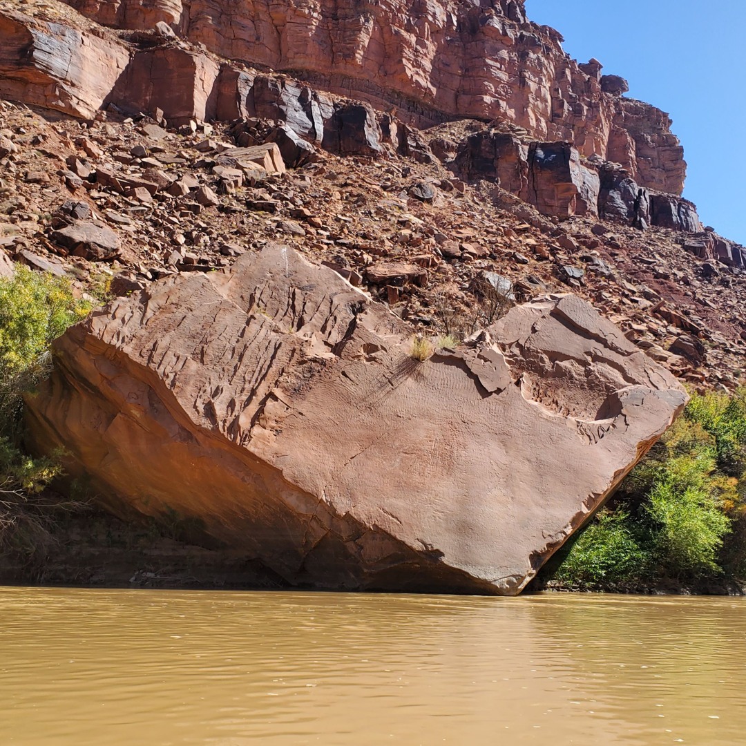 Stream LC Top Secret Rave by Space Bunz | Listen online for free on ...