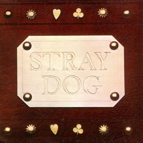Stream A Letter by Stray Dog | Listen online for free on SoundCloud