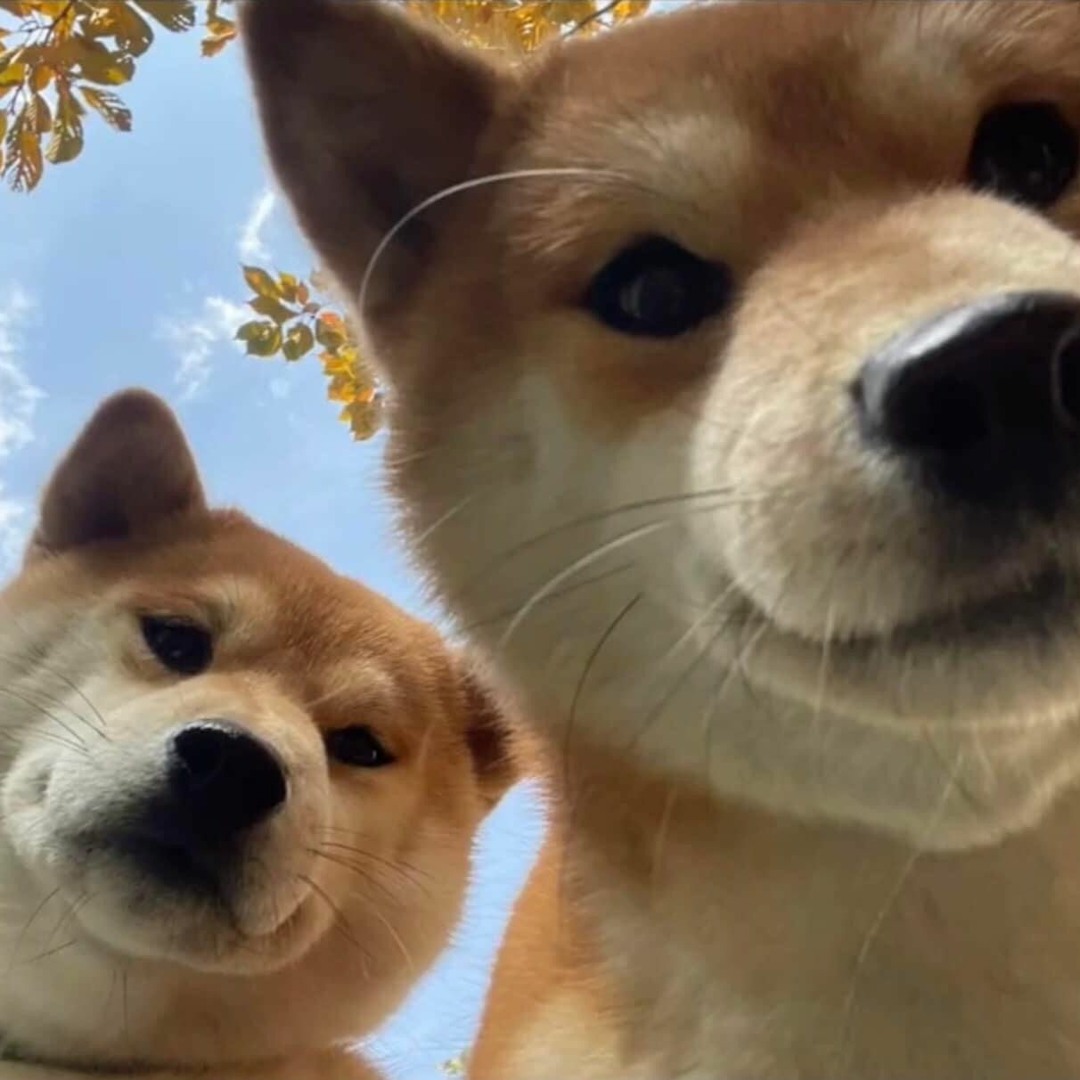 Stream Dazzy - Pink Love by dazzy | Listen online for free on SoundCloud