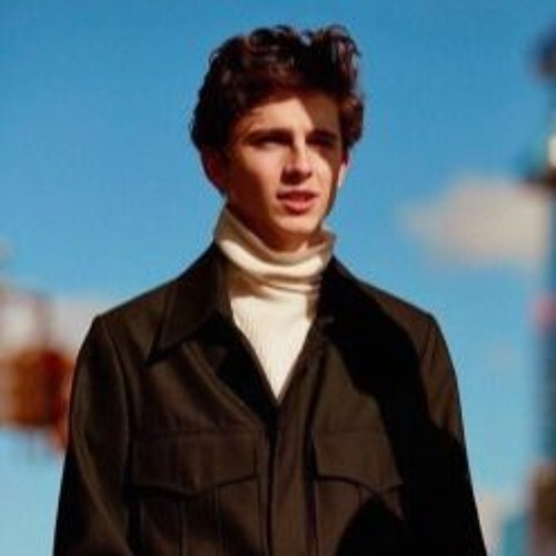 Stream Timothée Chalamet Statistics by vicky | Listen online for free ...
